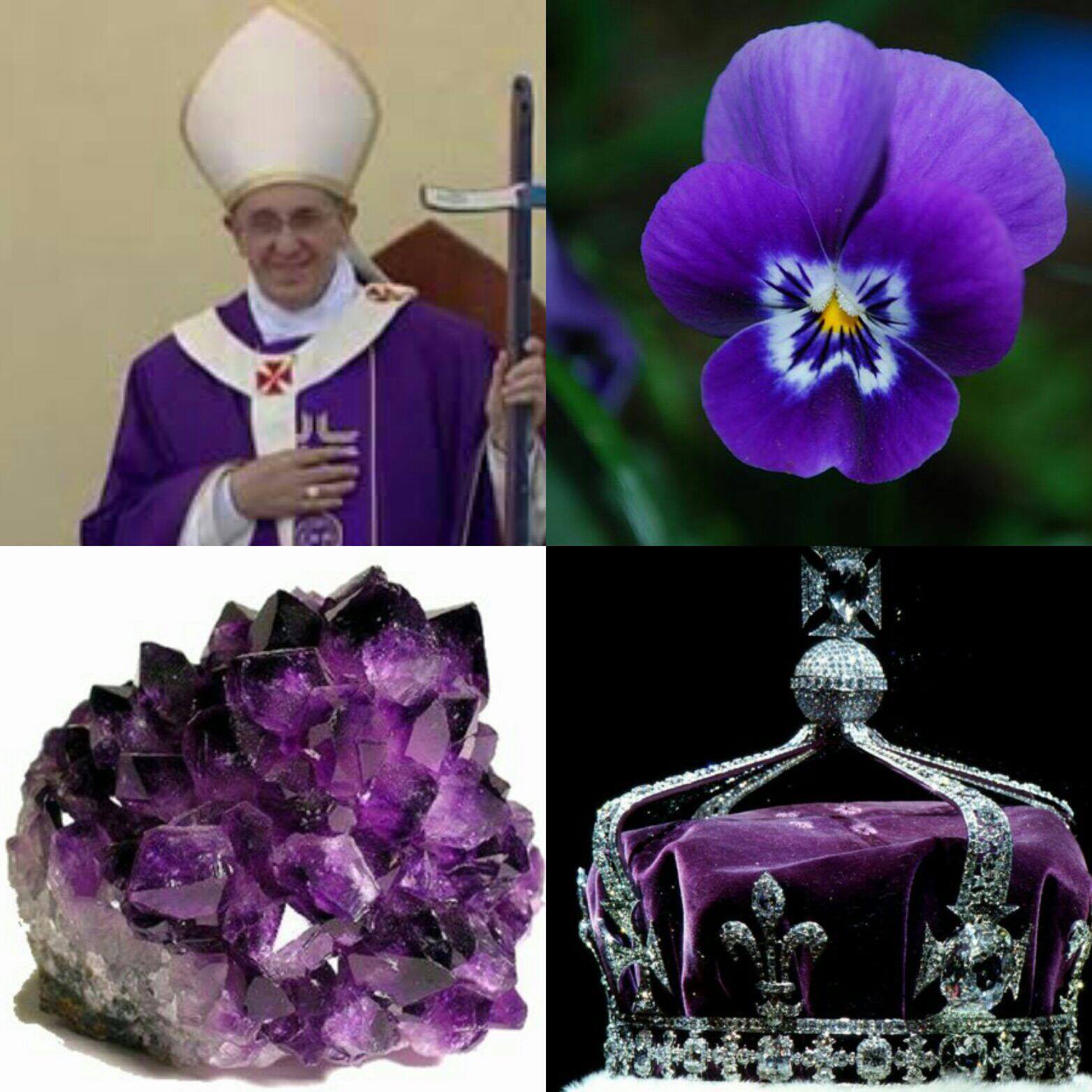 Step 1: Definizione ed origini del colore | Viola