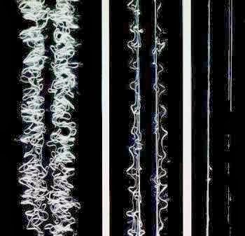 Textile: Spider silk