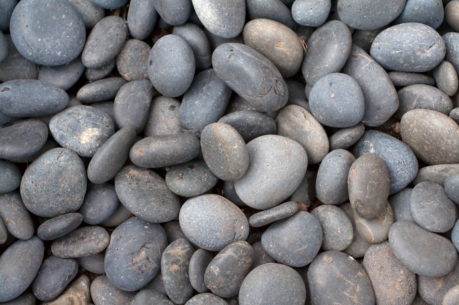 vieregg text redaktion lektorat + SV Verlag: STEIN SEIN von Annette ...