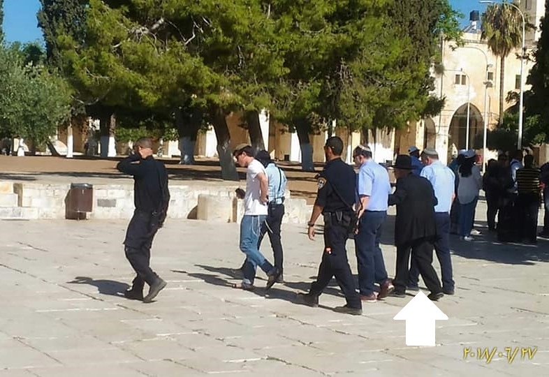 My Right Word: Would Rav Aviner Learn Torah With Rabbi Moshe Tendler?