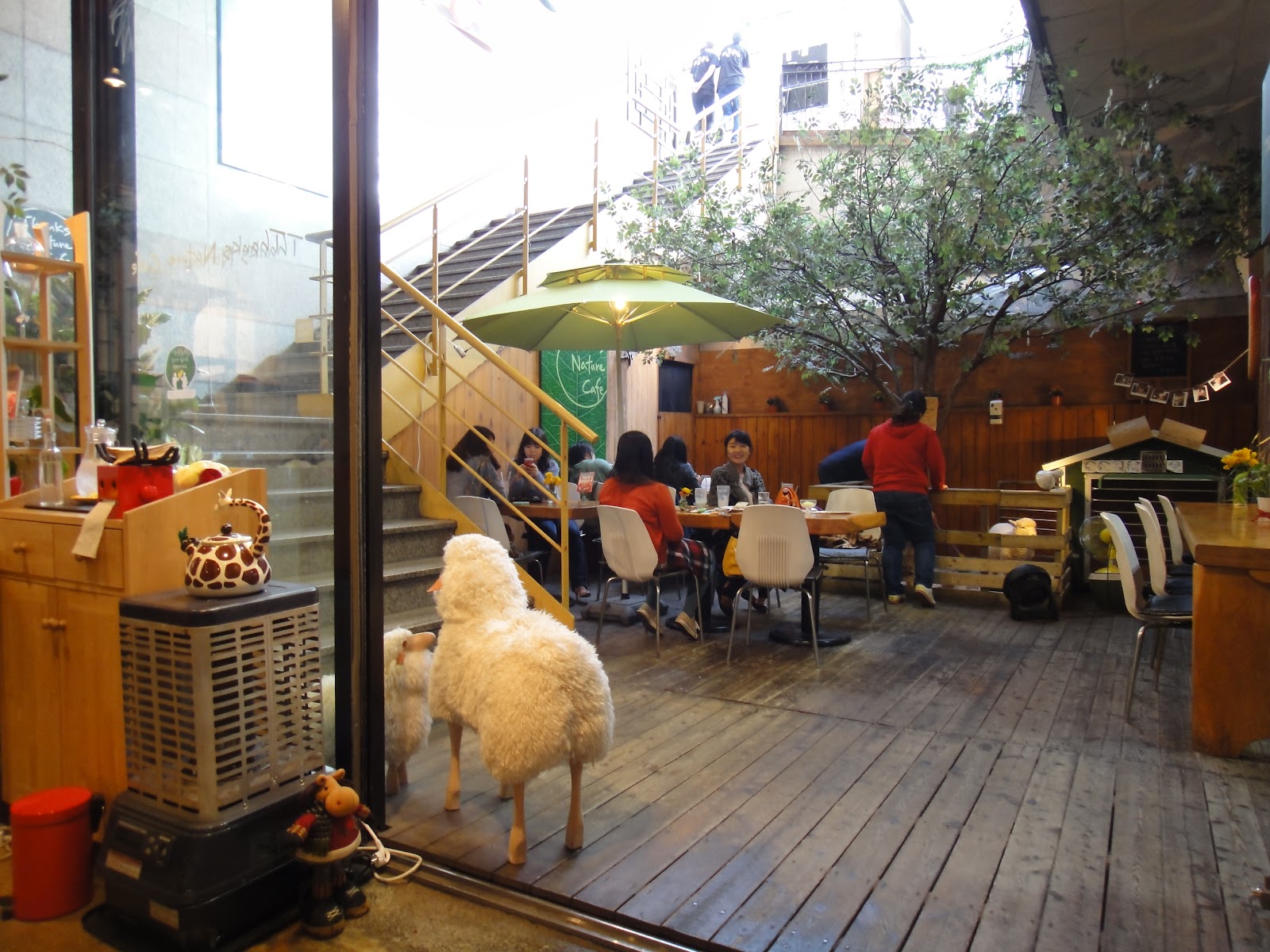 Jon Pang's Korean Adventure: Thanks Nature Cafe: A Sheep Cafe