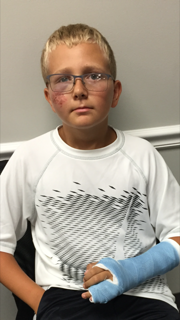 Delran Township Police Department: 2016