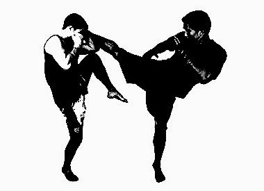 King Boxing: Historia del king boxing