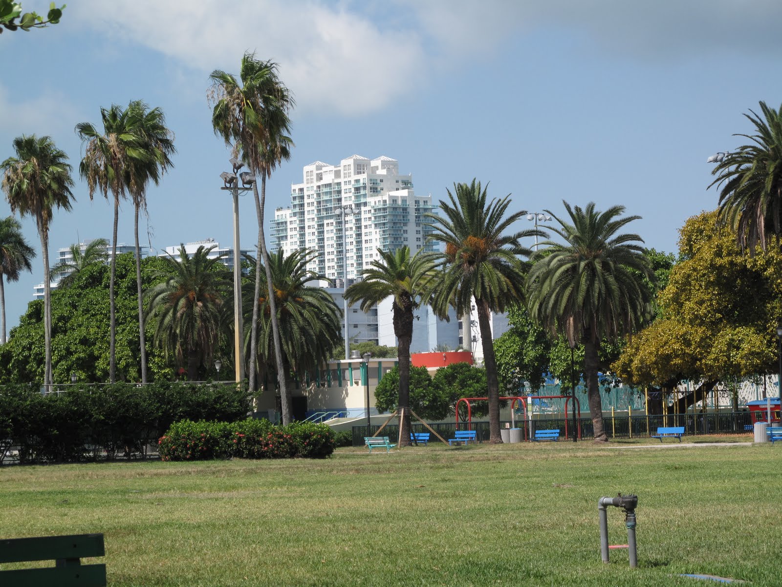 The Parks Department: Flamingo Park