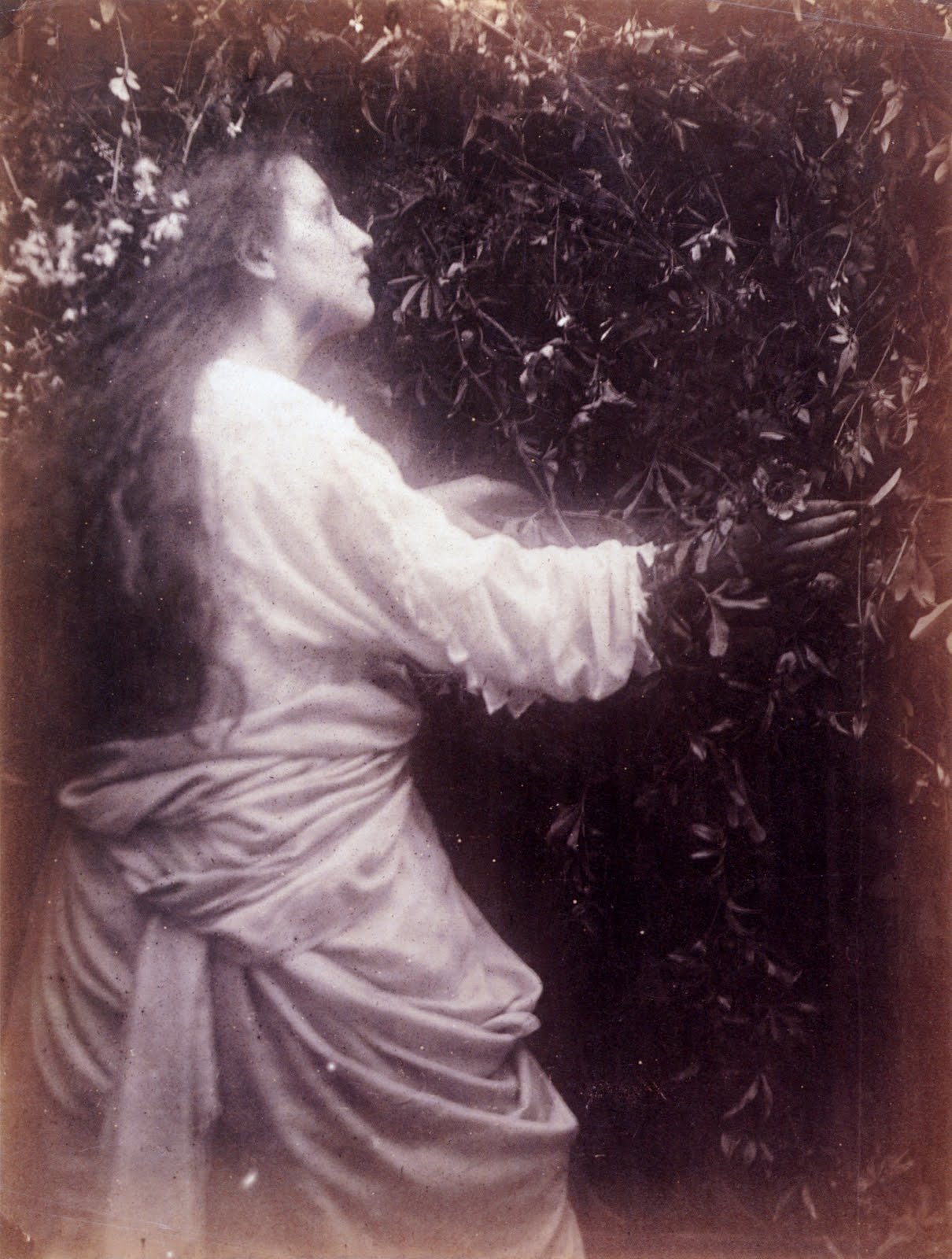 Springwood Historians: Ghostly encounters: historical fact or fiction?