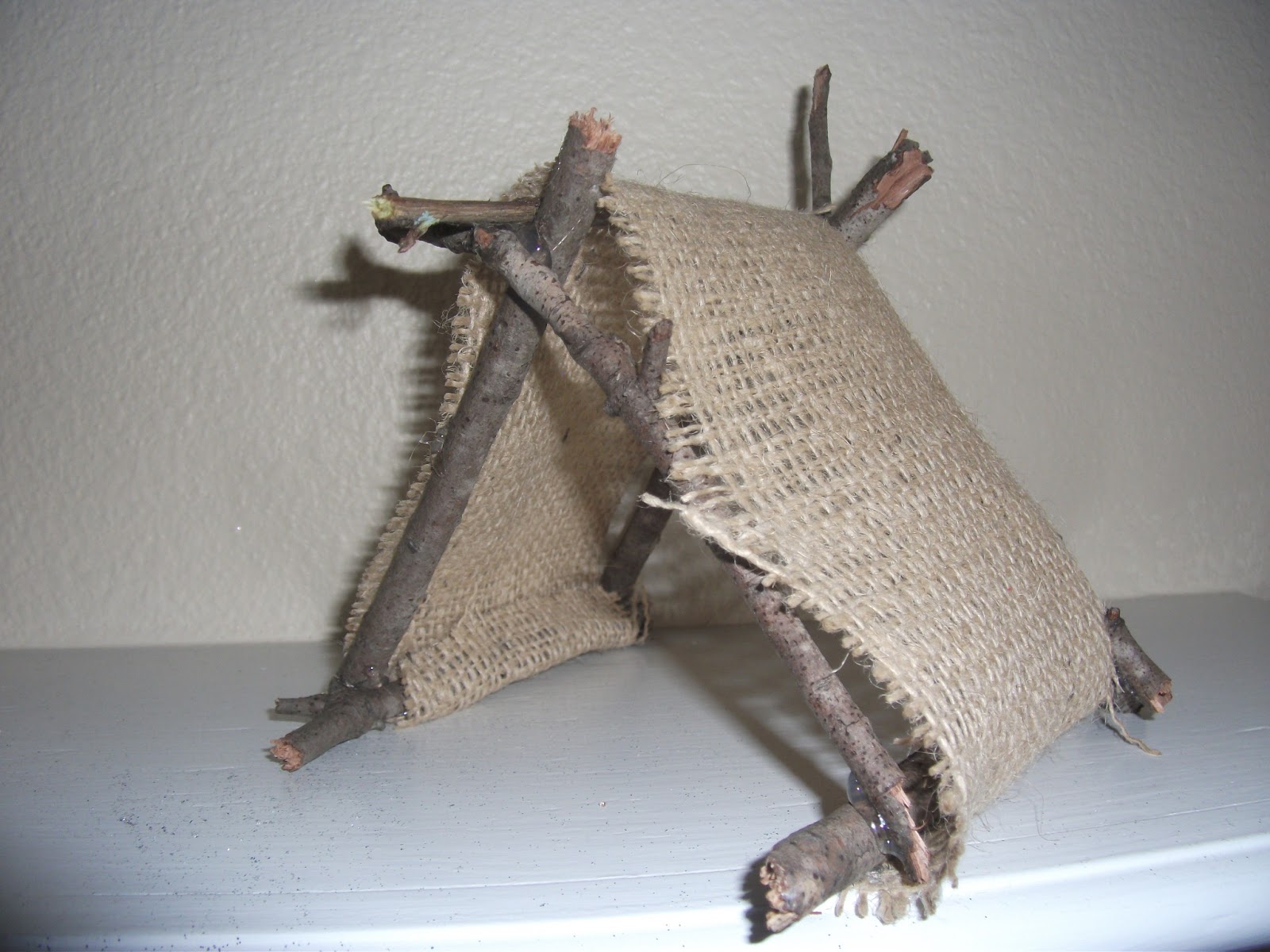 A Perfectly Crazy Life: A MINI TENT and INSANITY (per my husband)