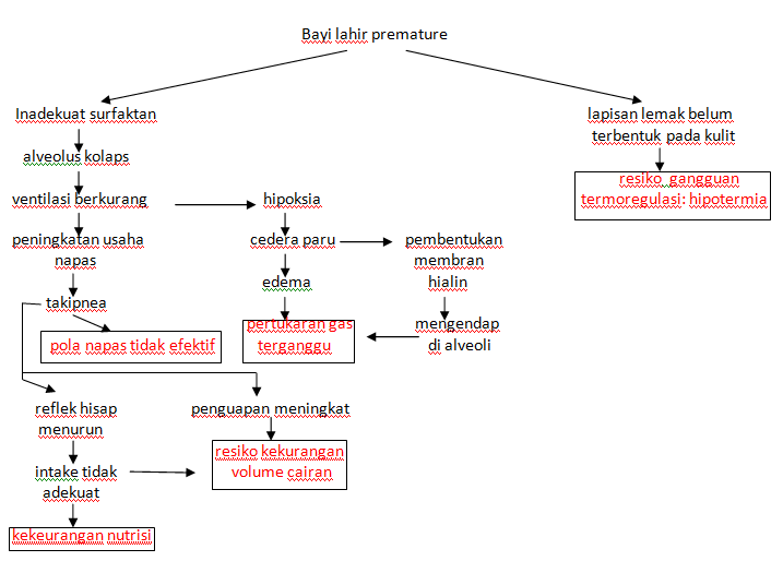 Faradela: LP HYALIN MEMBRANE DISEASE (HMD)