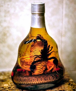 Exotic Food & Drinks: Snake Wine from crazy Vietnam