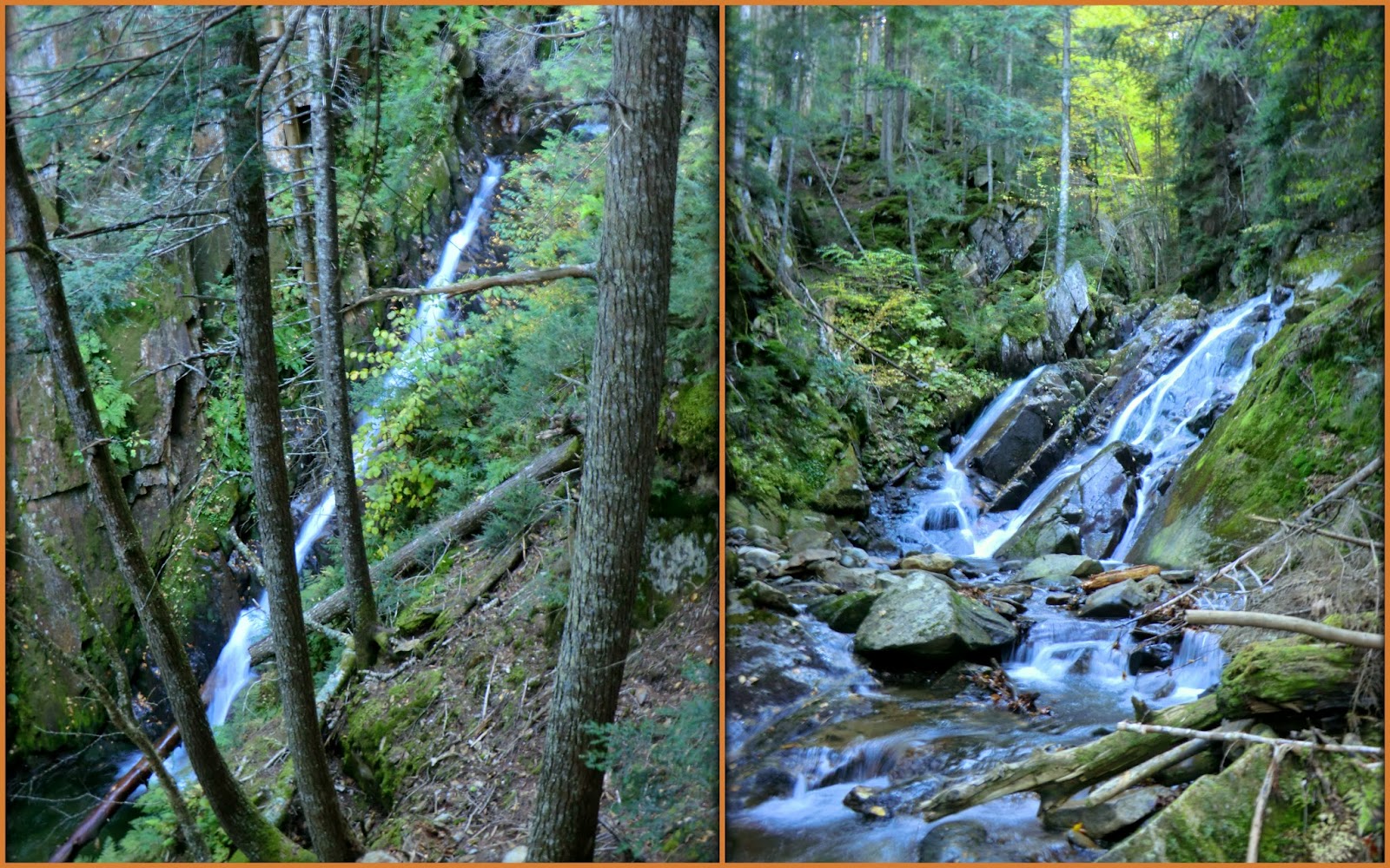 1HappyHiker: A Short Loop Hike in Dixville Notch