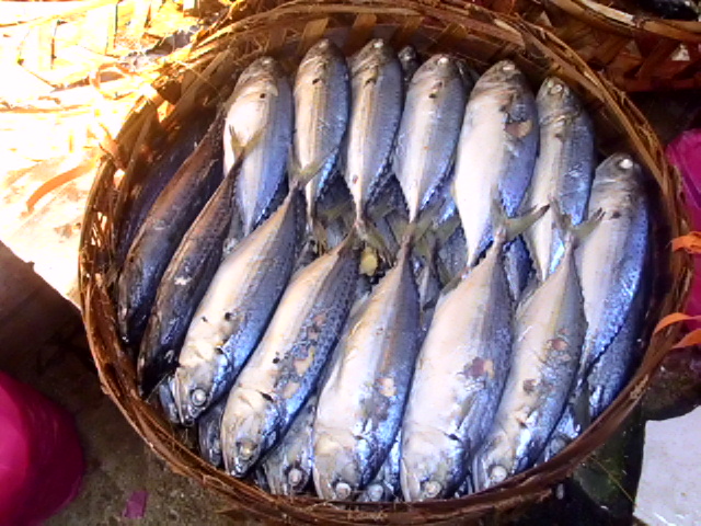 ikan rebus/lengat: Ikan Rebus/Lengat