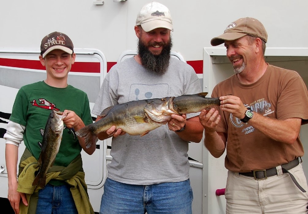 Fish are boring (but tasty when deep fried)