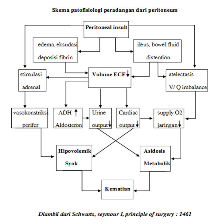 pranitiakusuma: Referat Peritonitis