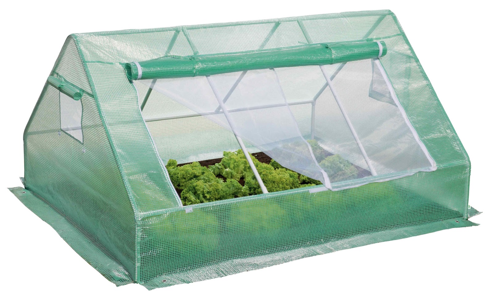 Blog Director de Gradinarit: O saptamana intreaga pentru gradina ta!