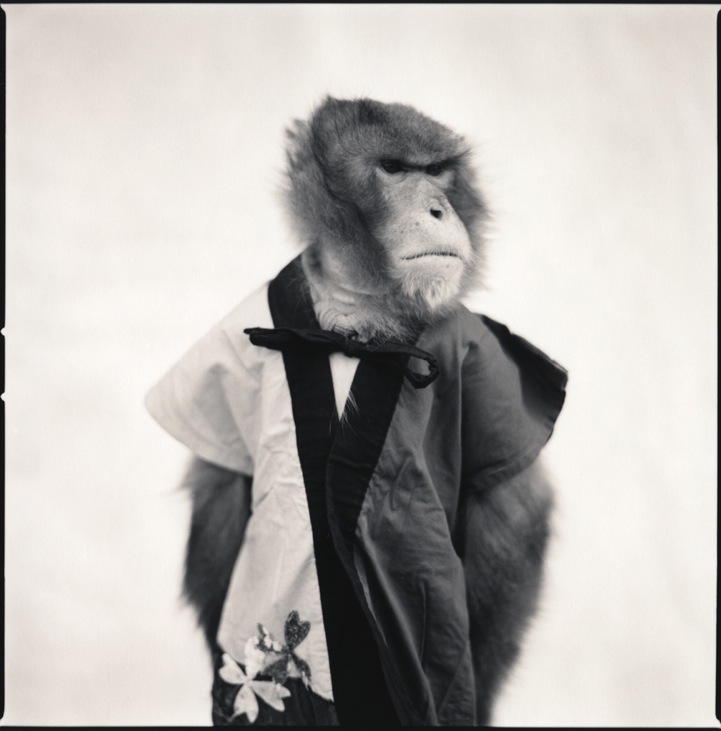 Matthew-san's Tokyo Adventure: The Ancient Tradition of Dressing ...