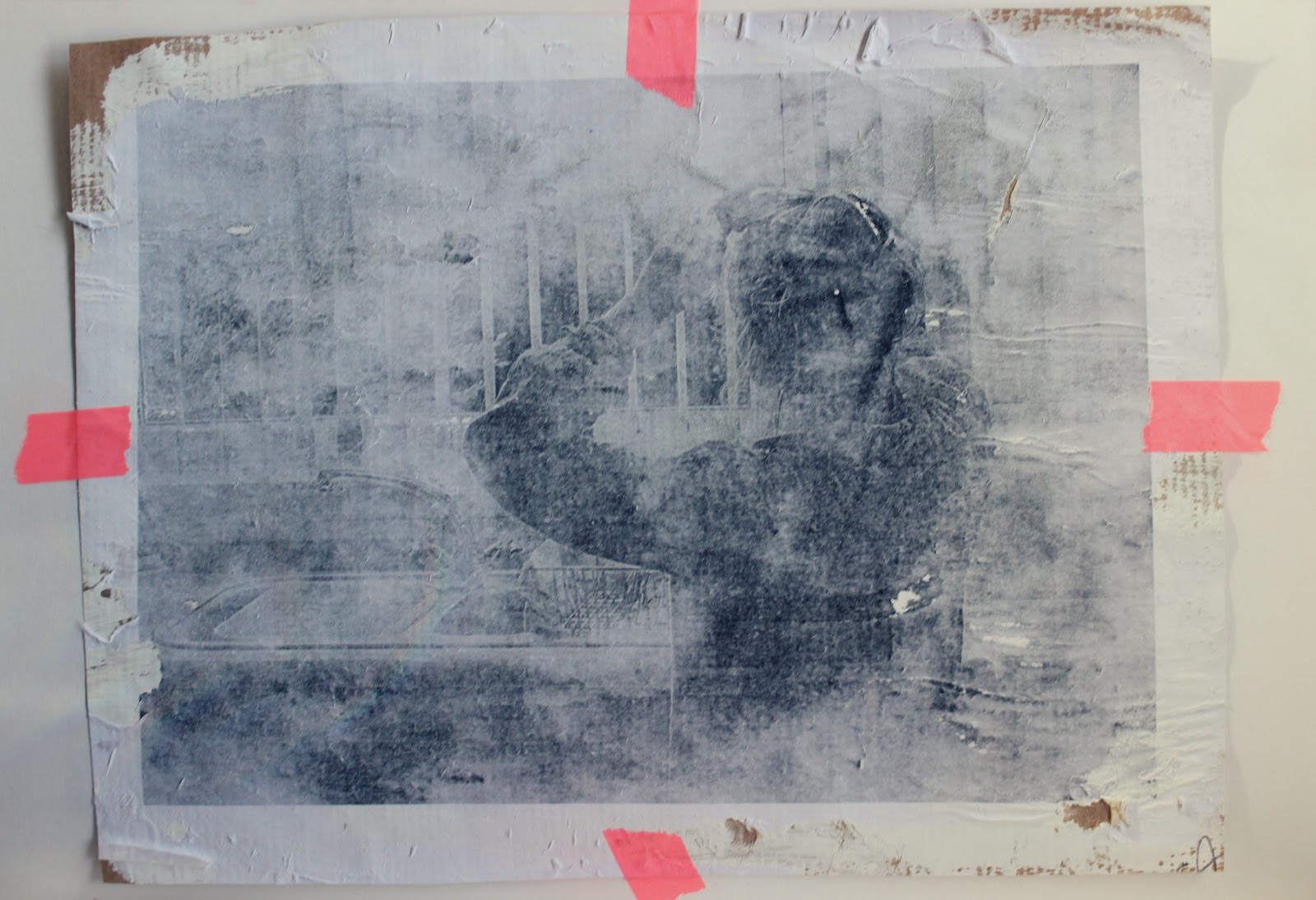 Emily's Photography Blog: Emulsion Transfers