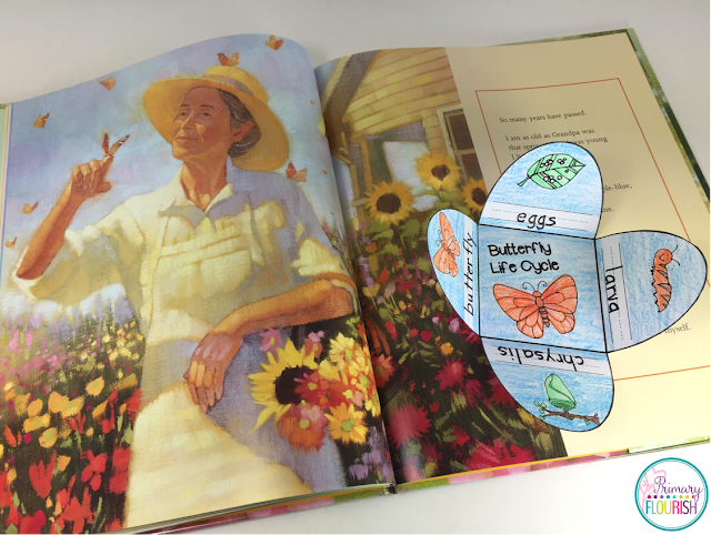 Butterfly House - Primary Flourish