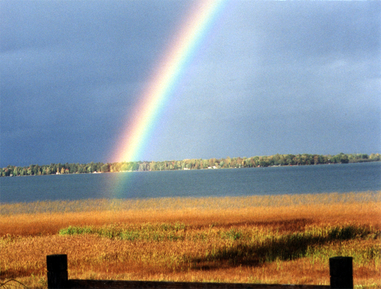 DIVERSIDADES: Há dias assim....!!!!!