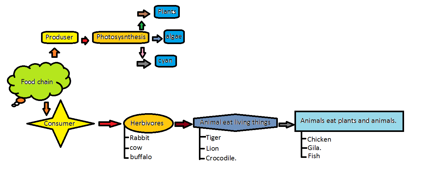 Jirawat54110504: Assignment 3 --> Narration