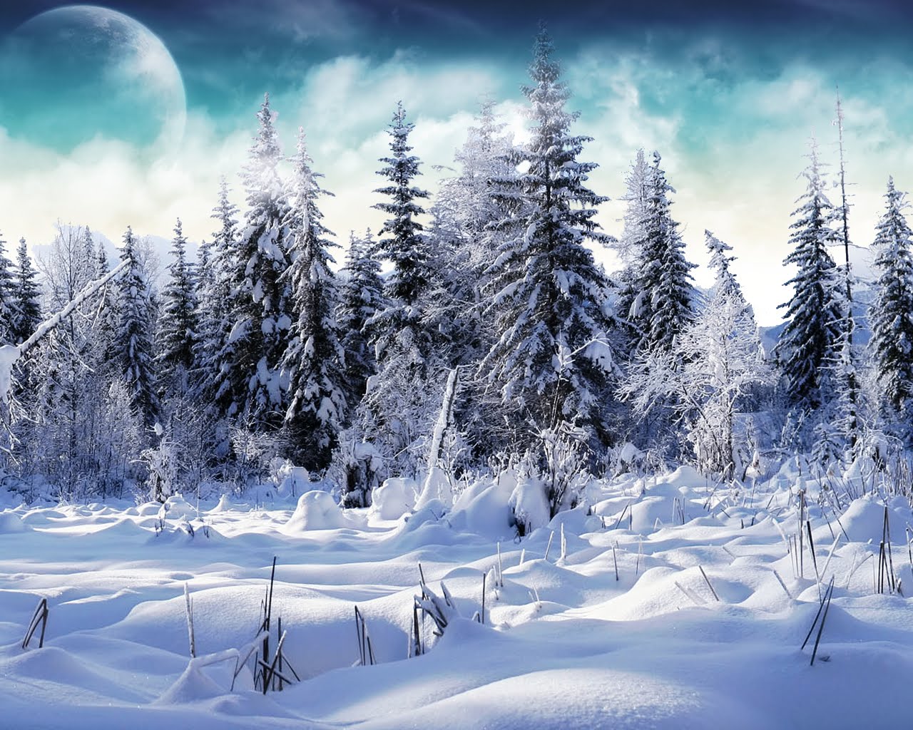 100 Ro: Peisaje de iarna superbe - Poze cu peisaje de iarna ...