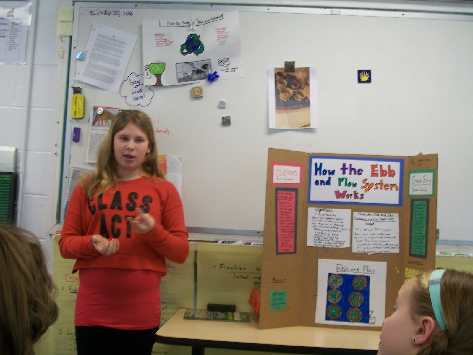 Ms. Tuttle's Blog: Student Projects-Amazing student engineering designs!