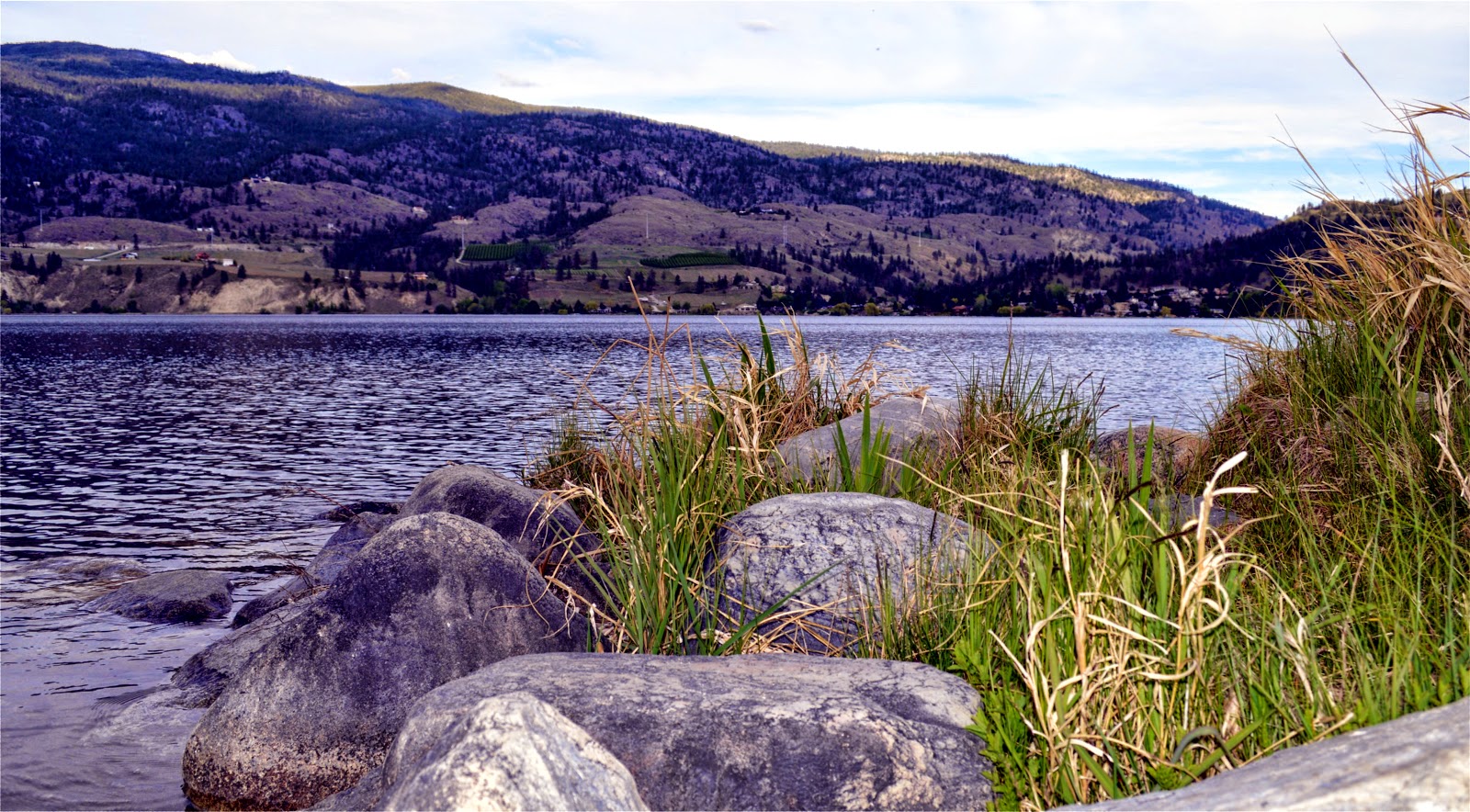Footloose: On Wed. evening we drove to Kaleden just south of Penticton ...