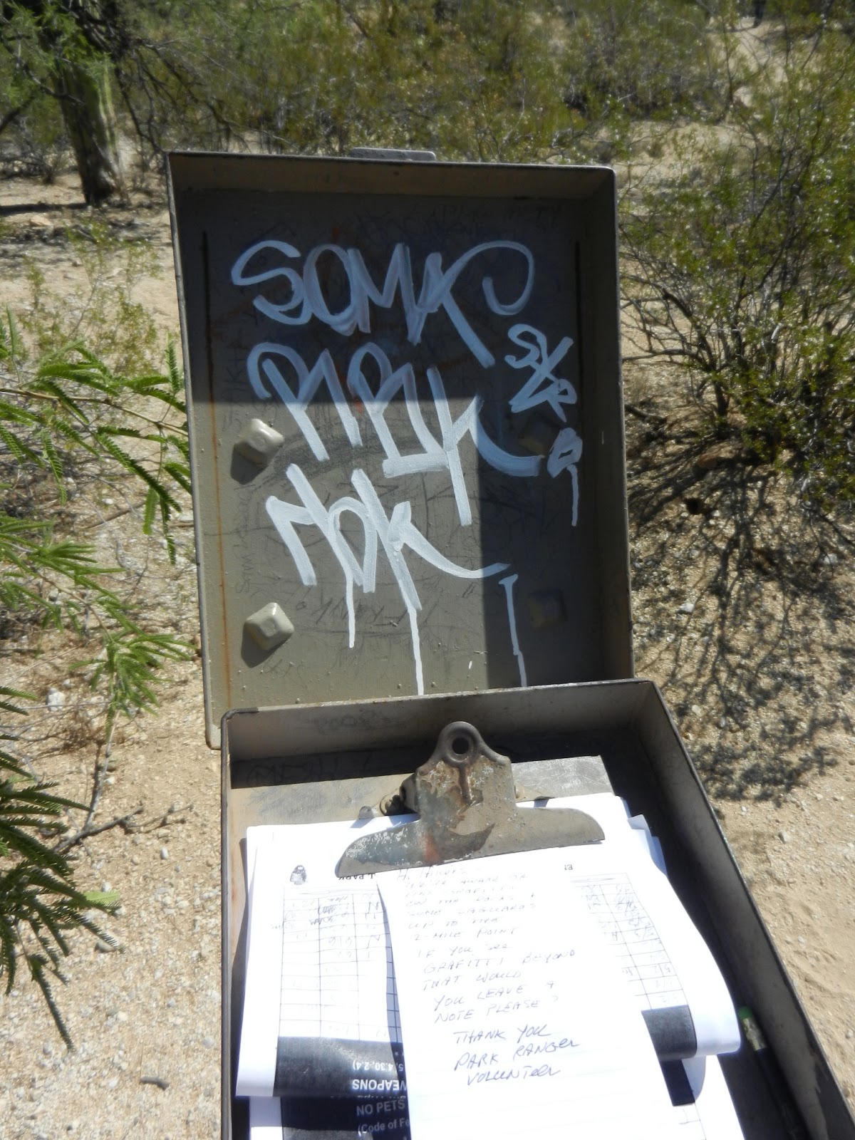 Joe Sharkey.com: Vandalism At Saguaro National Park