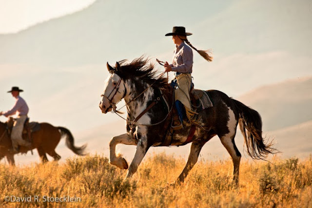 Buckaroo Barbie: Interview | Emily Fuhriman