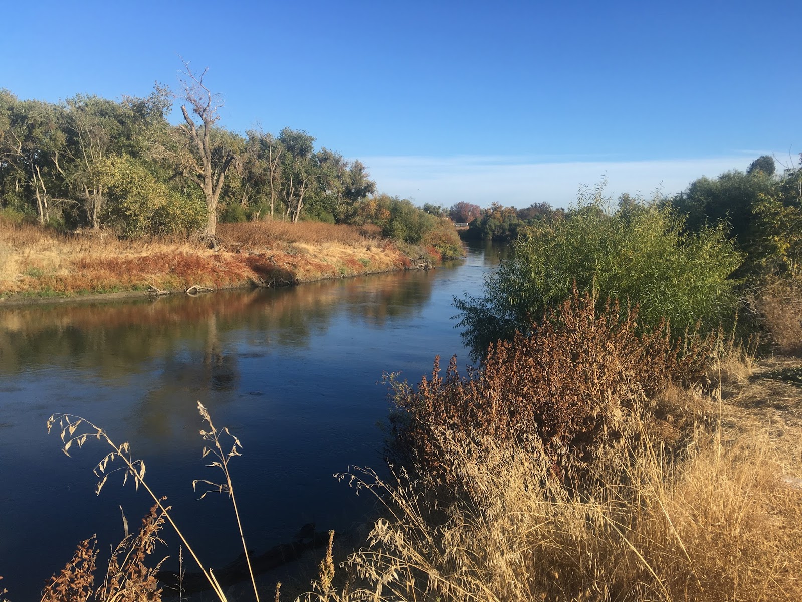 November Bay Area Trip Park 9; Firebaugh's Ferry