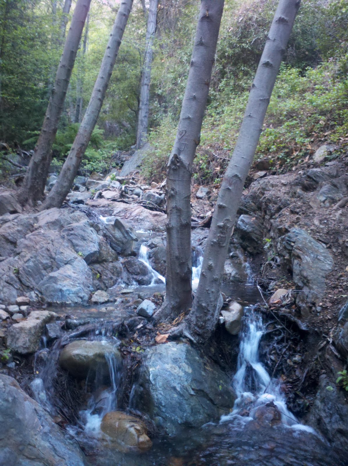 aarons mountain adventures: Holy Jim Falls