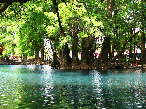 francisco lavin: EL LAGO DE CAMÉCUARO