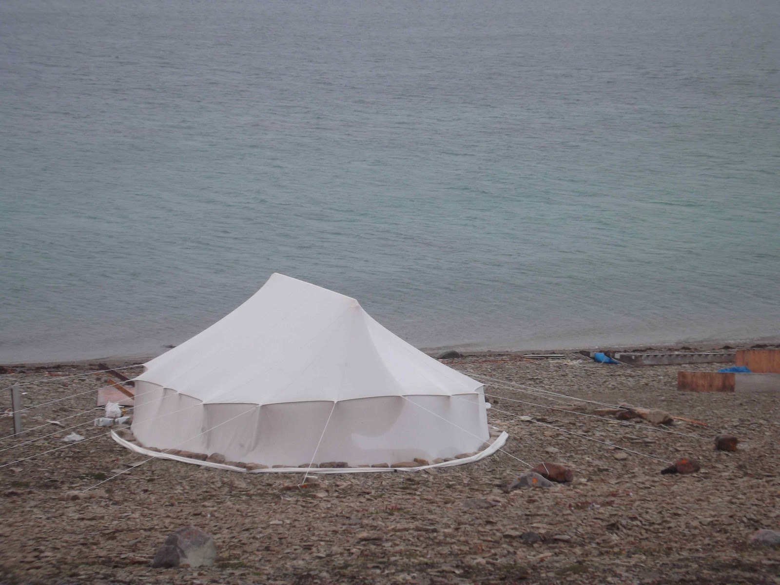 Ice Hawg: Cabin Days