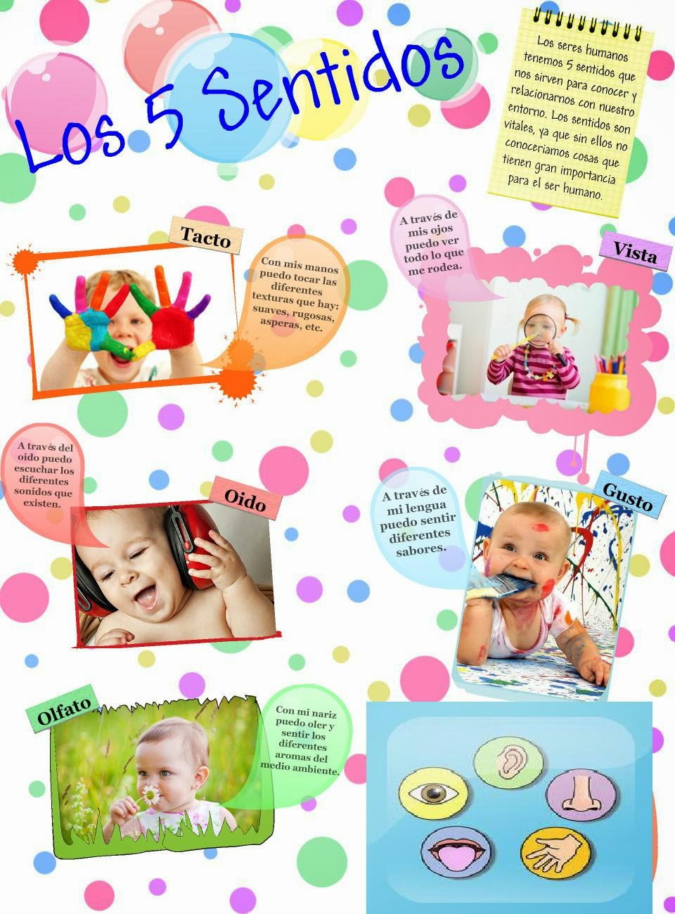 Momentos Mágicos: Recopilación de los cinco sentidos