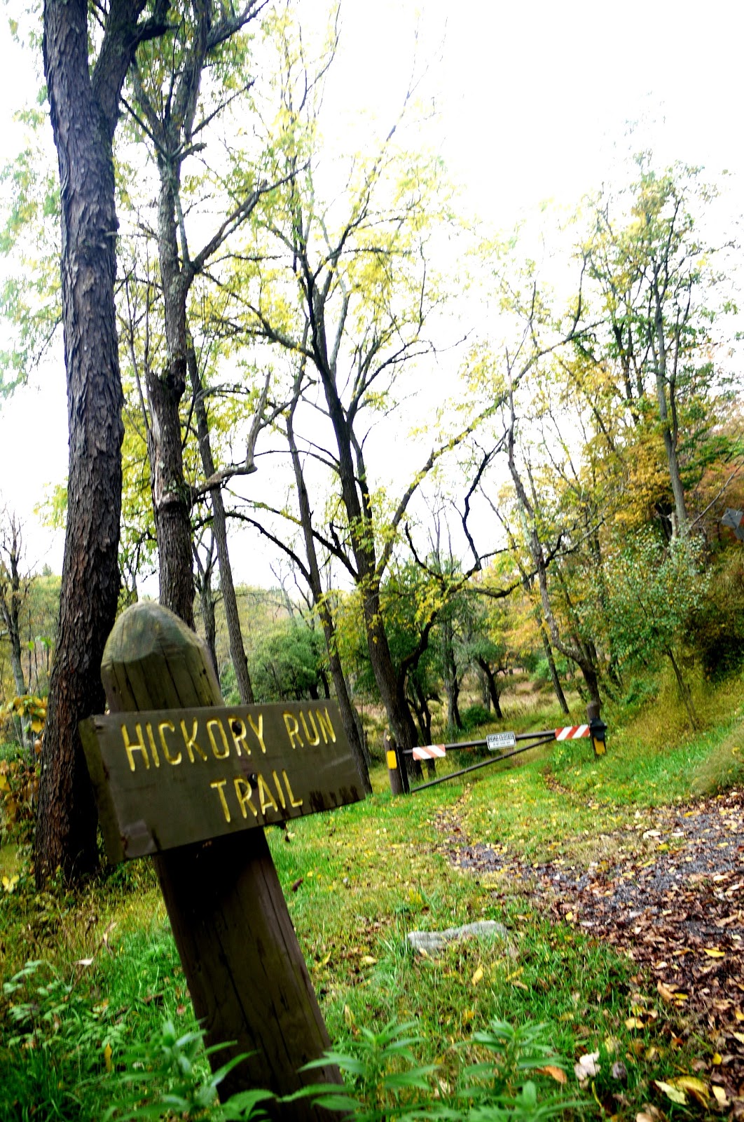 Hiking @ Hickory Run State Park