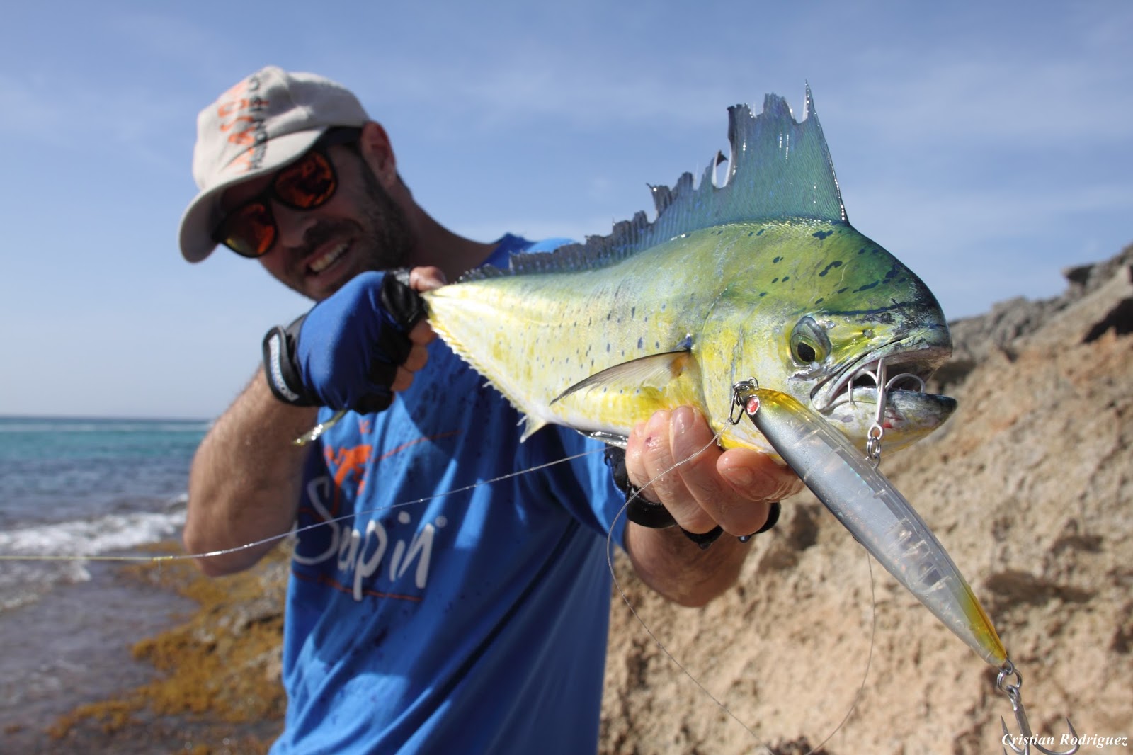 SPINNING, CAPTURA Y SUELTA: Llampugas a spinning en un metro de agua ...