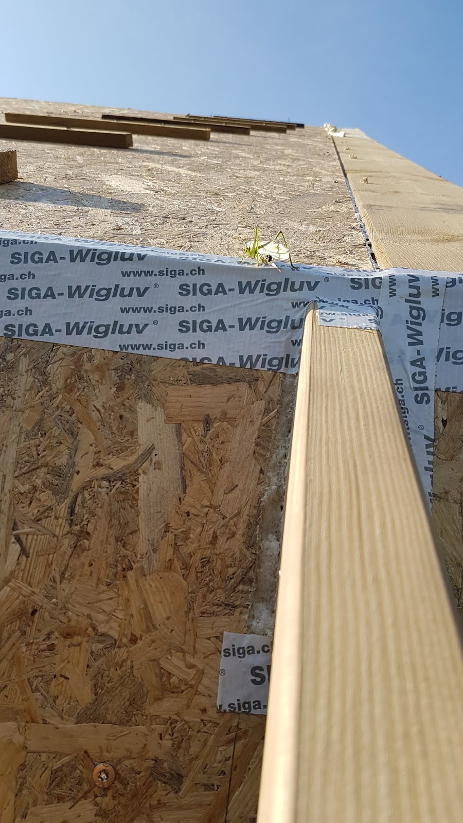 Dzūkiška pirkia: Namo sandarumas