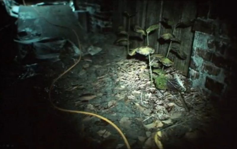 Nuevas imágenes de Resident Evil 7 revelan personajes y escenarios ...