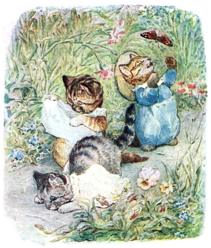 Thoughts on Books: A Celebration of Beatrix Potter