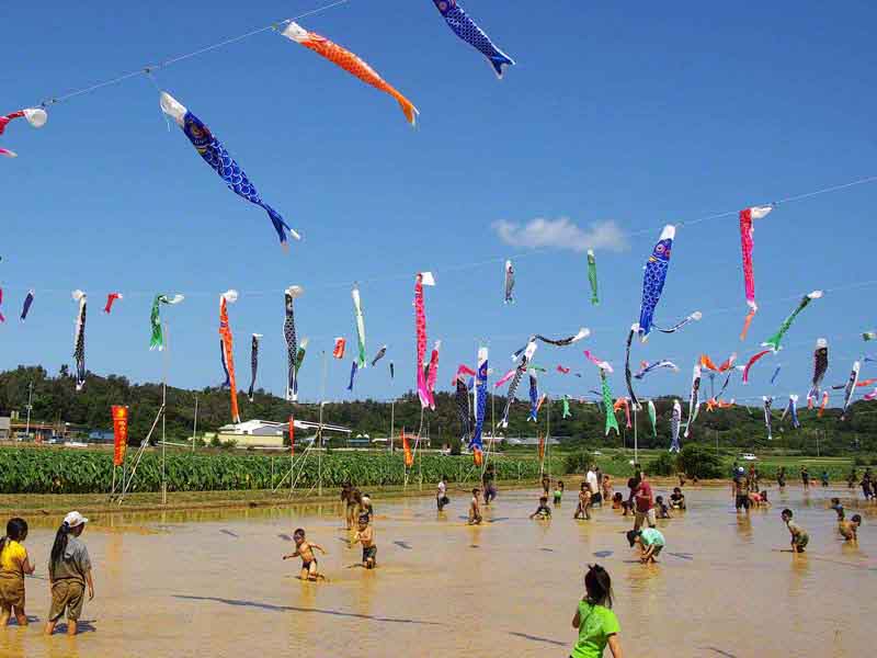 Ryukyu Life: 2013 Kin Town Mud Festival (たんぼフエスヌ) Okinawa, Japan