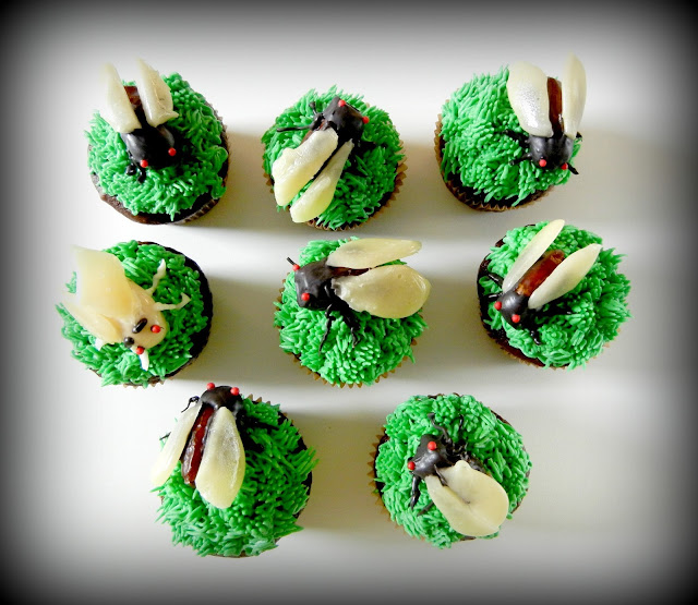 Sugar Swings! Serve Some: Cicada Bug Cupcakes