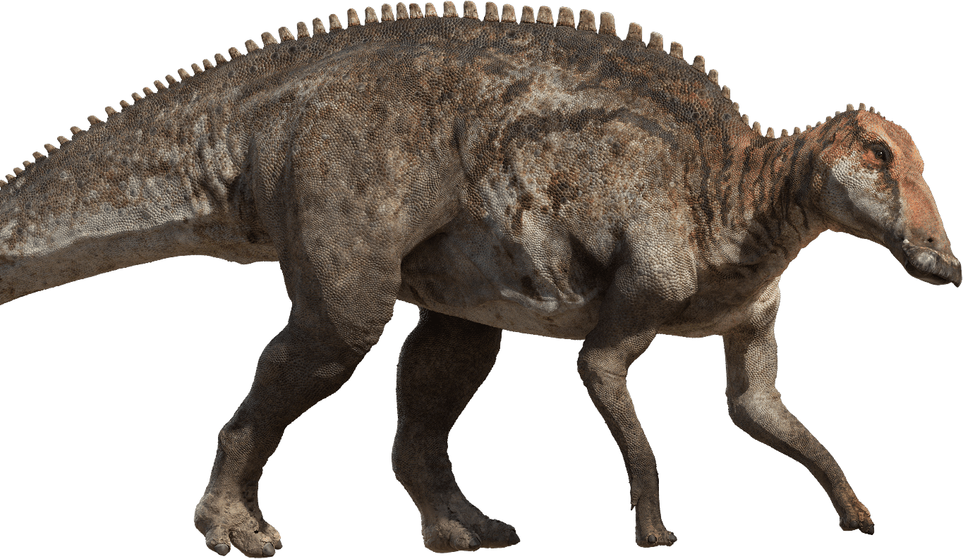 Duck-Billed Dinosaurs: Edmontosaurus - JURNAL KU