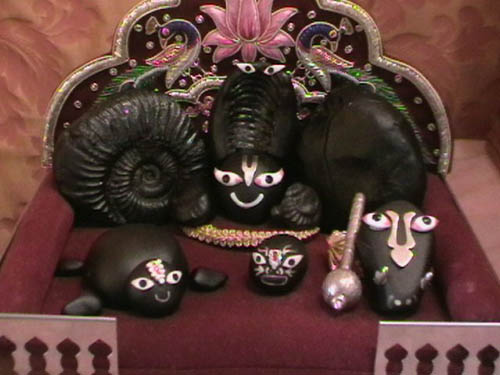 CHODAVARAMNET: AN ARTICLE ON SALAGRAMAM - shaligram, shaligram stone ...