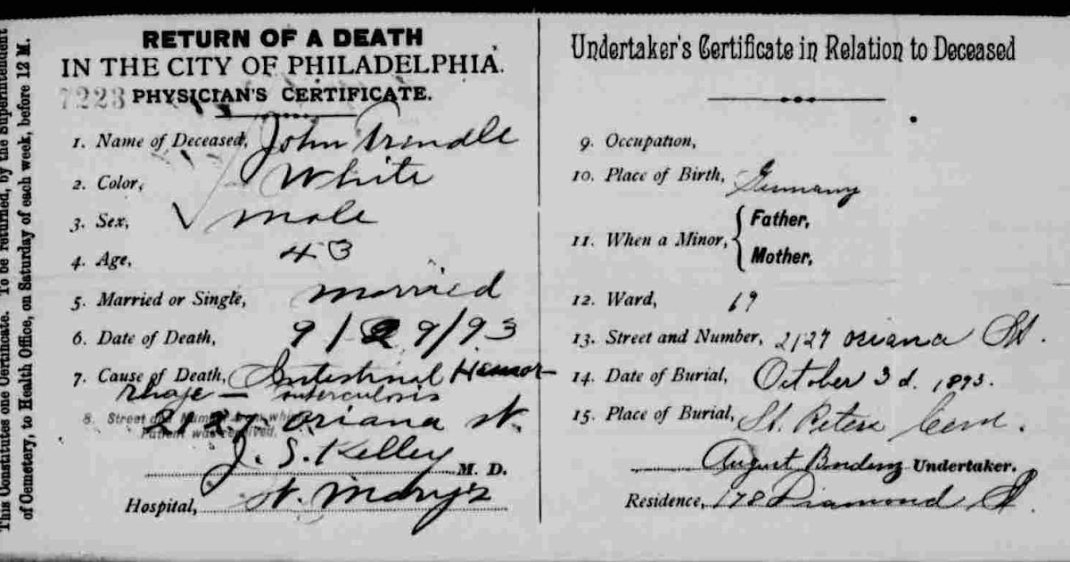 Trindle Travels Thru Time: John Trindle (Troendle)