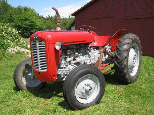 Massey Ferguson: massey ferguson MF 35-65