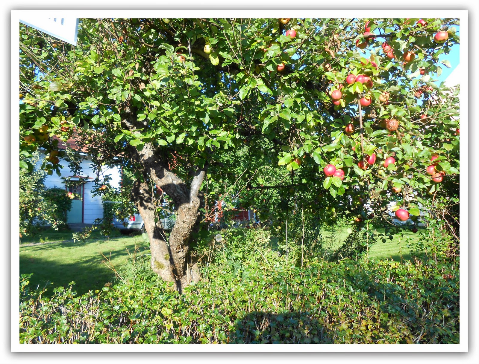 Fika Penang: Swedish living