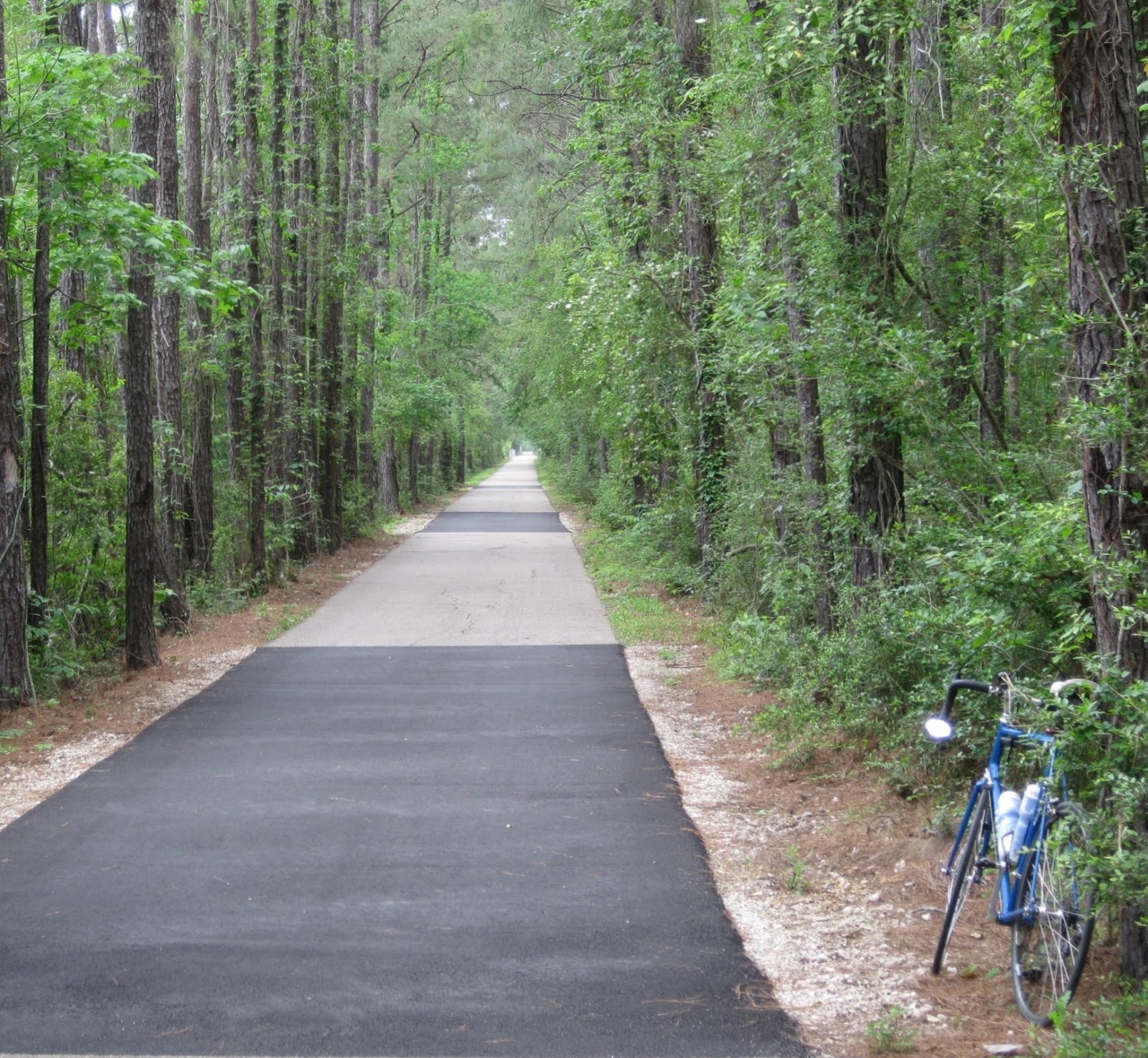 New Orleans Outdoor Companion: Tammany Trace: Not just a bicycle ride ...