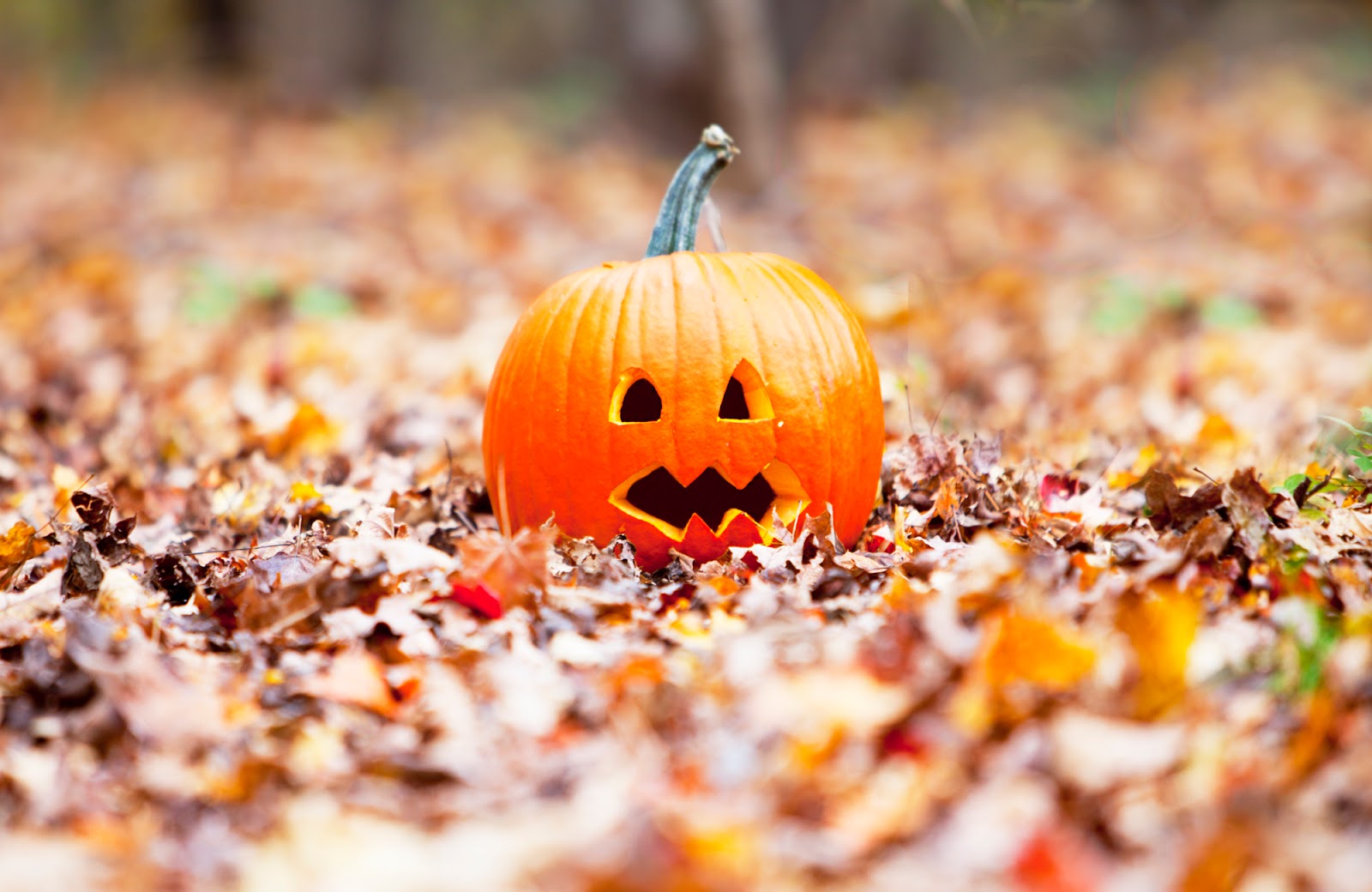 Ten Tricks And Treats For Halloween In The Music Room Mrs Miracle s ten-tricks-and-treats-for-halloween-in-the-music-room-mrs-miracle-s