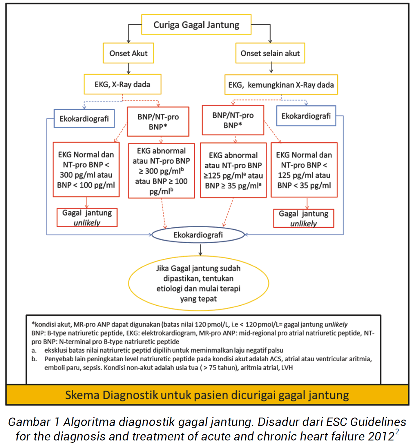 PEDOMAN TATALAKSANA GAGAL JANTUNG PERKI - 2015 -1 : FREE EBOOK ~ Panduan Praktik Klinis Bagi Dokter
