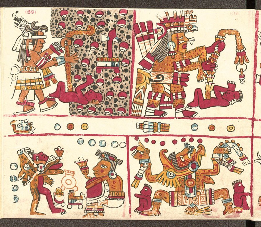 Magnum Opus Aeternam : Codice Vaticano