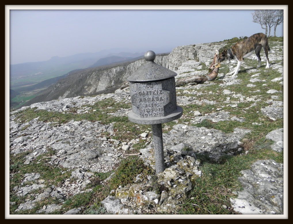 CAMINANDO POR LAS MONTAÑAS Y TODAS SUS BELLEZAS