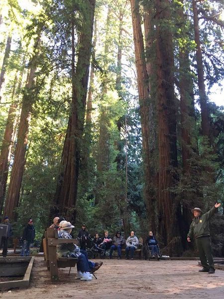 Weekend Adventures Update: Muir Beach: Muir Woods National Monument ...